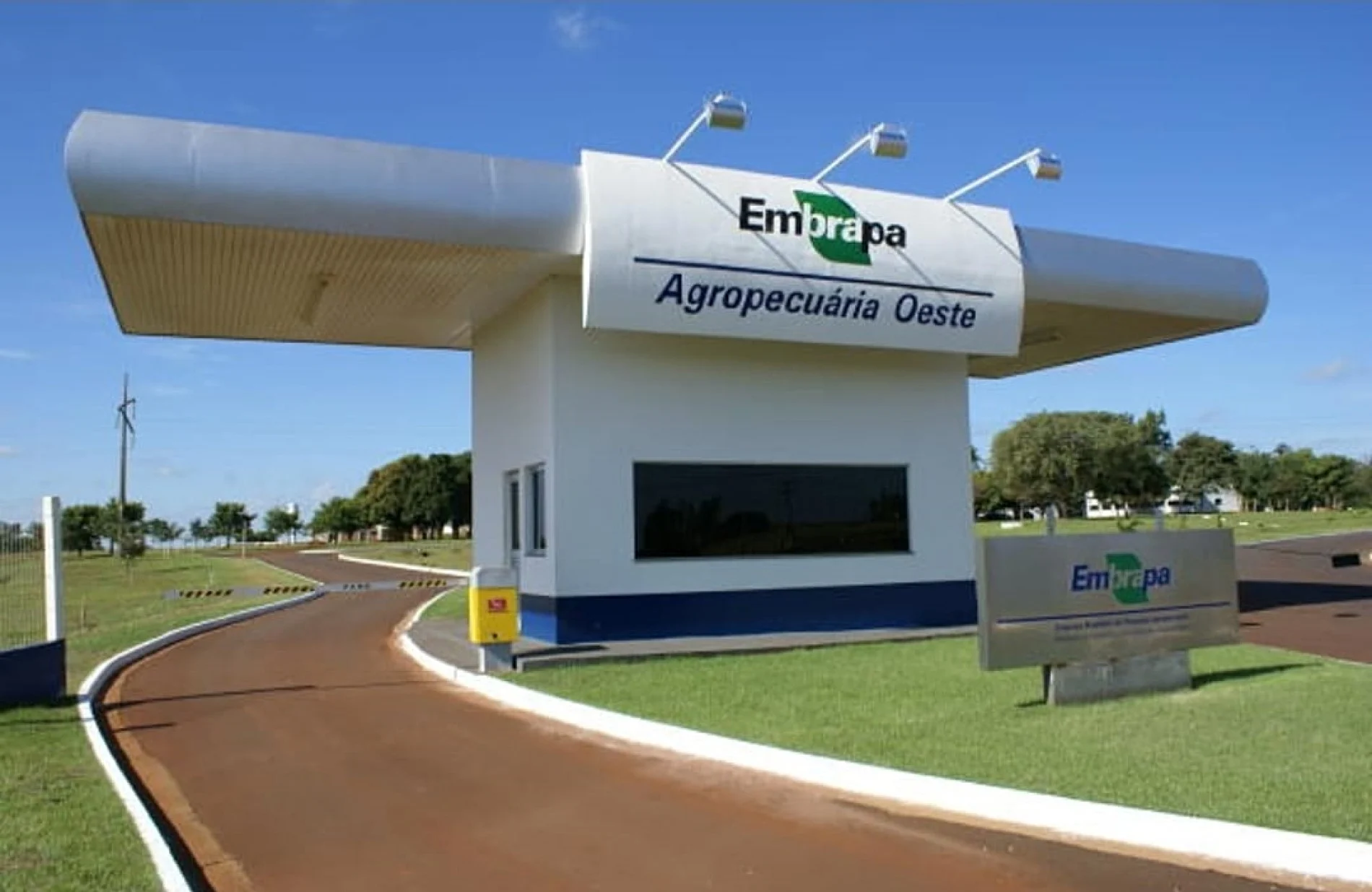 Concurso Embrapa: conheça carreiras e especialidades da empresa | Folha ...