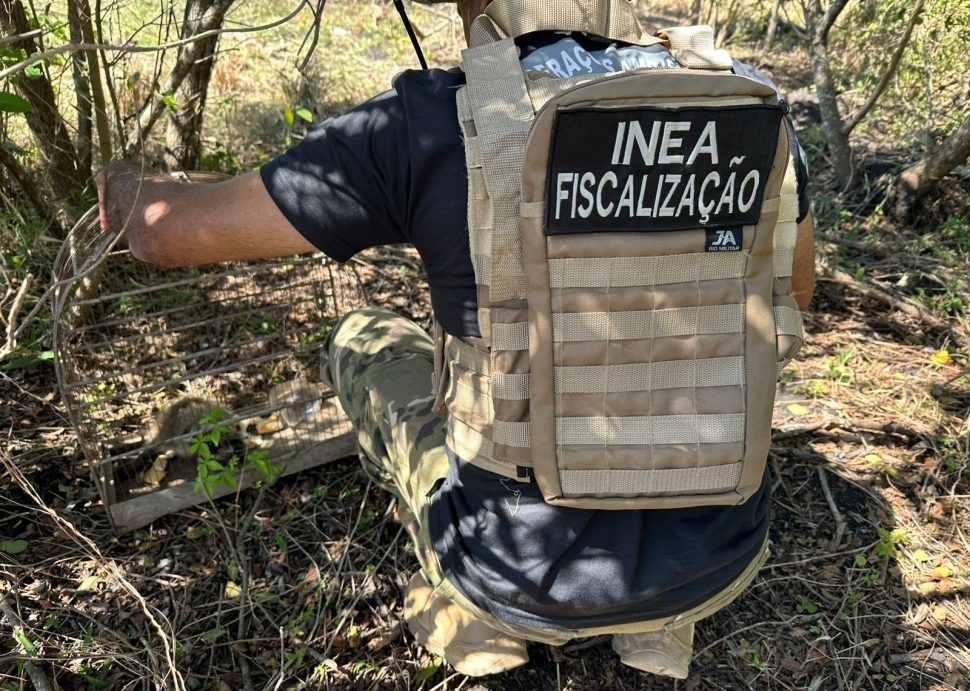 Concurso Inea RJ deve ser realizado em 180 dias, diz ação do MP | Folha ...