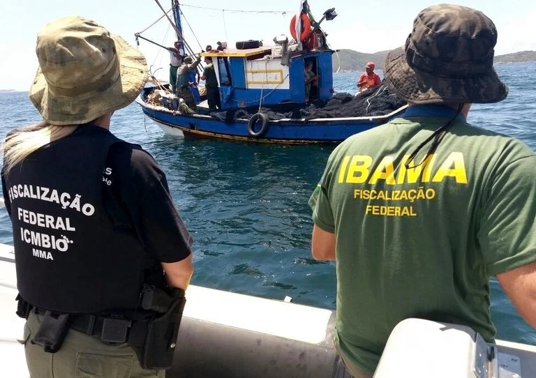 Com concursos autorizados, saiba diferenças entre Ibama e ICMBio ...