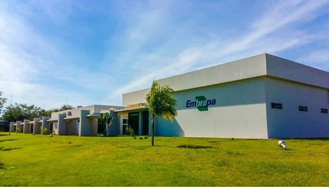 Concurso Embrapa tem novo edital com 1.061 vagas confirmado | Folha ...